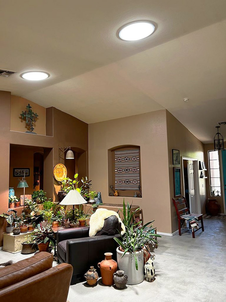 Living Room Skylights - Elite Home Daylighting Systems